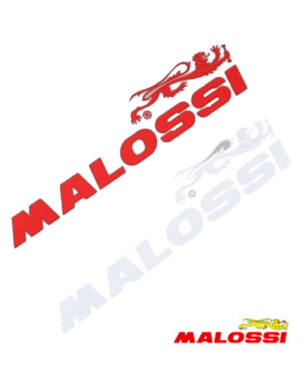 Malossi Aufkleber Kit 45x95mm rot weiss >> Zwotakt Garage, 1,70